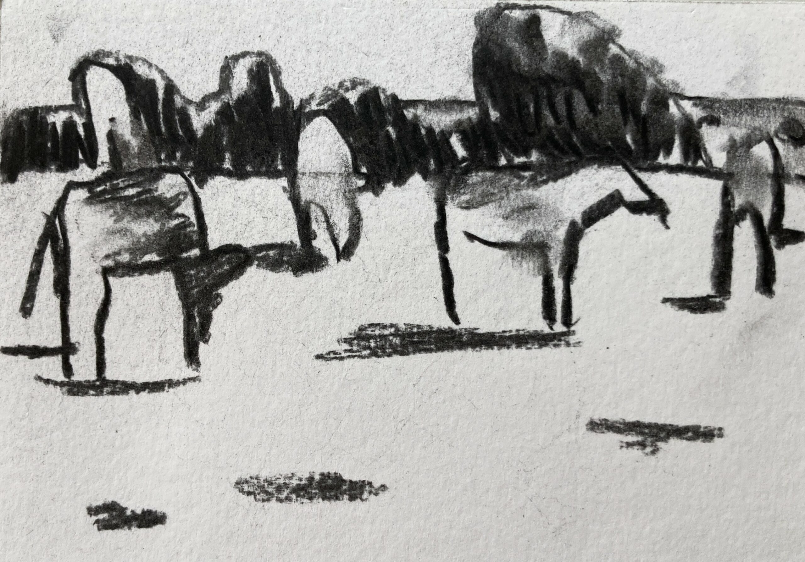 Expressive Drawing – Sarah Nelson Studio
